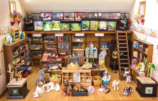 The Heart Felt Pet Shop